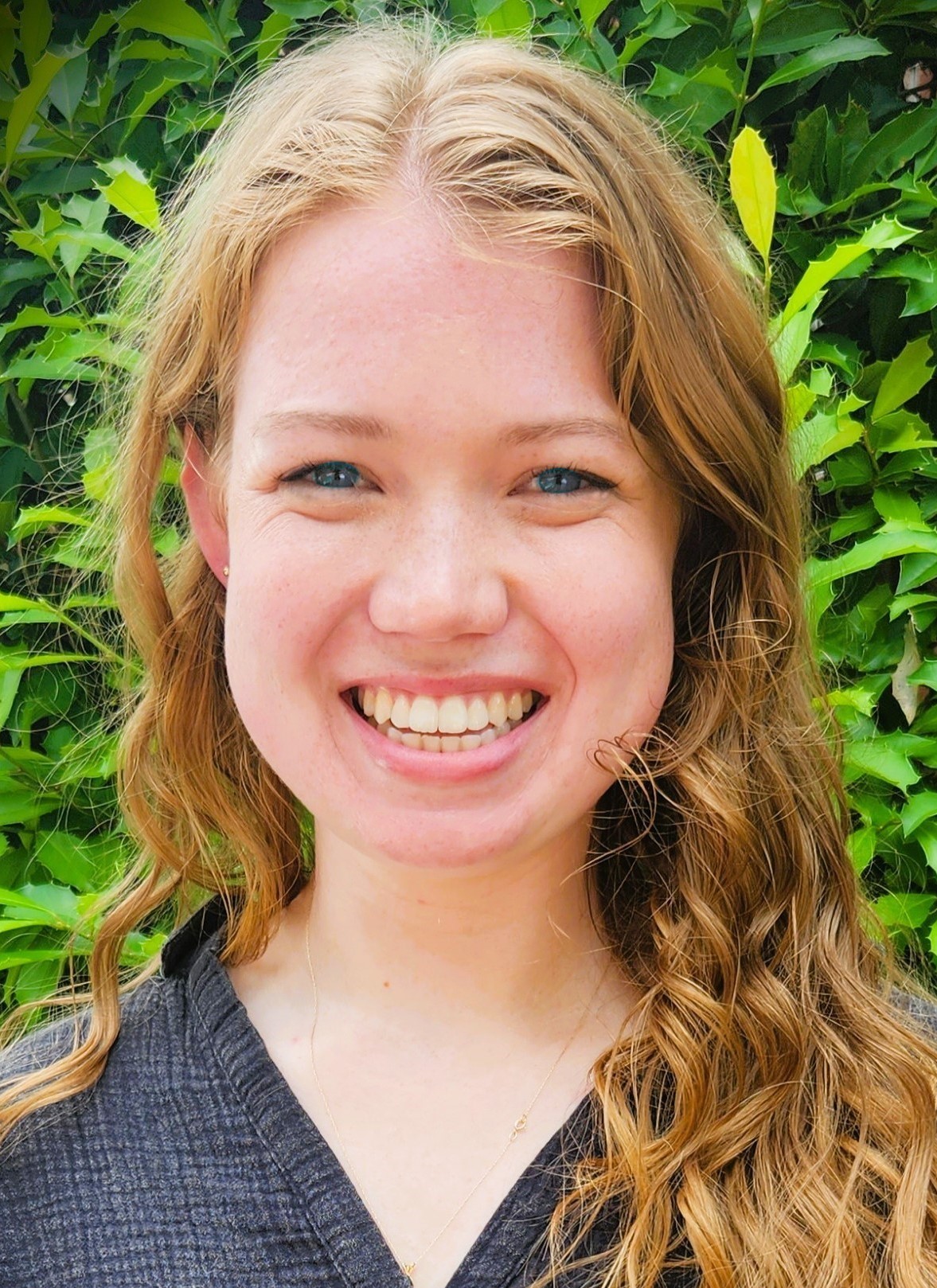 Our Christian Counselors in Raleigh, Cary, & Fuquay Varina